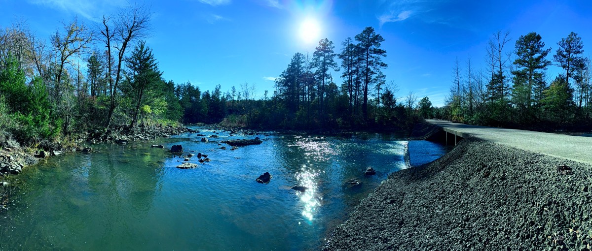 Through the Lens of Love – the unexpected ever afters